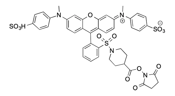 PB NHS Ester | Vector Labs