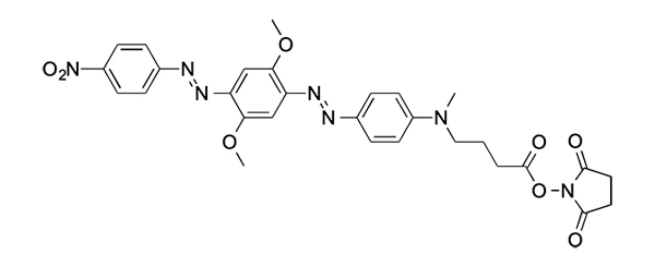 UBQ-2 NHS Ester | Vector Labs