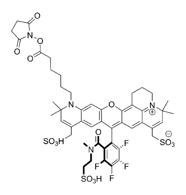 MB 633 NHS Ester | Vector Labs