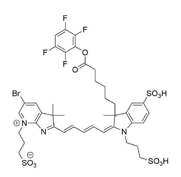 AZDye 680 TFP Ester | Vector Labs