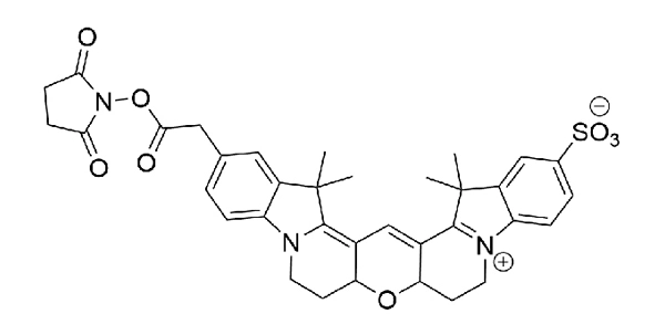 PB NHS Ester | Vector Labs