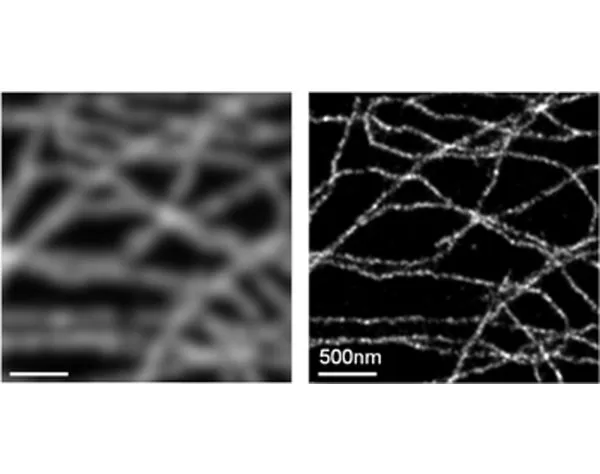 VECTASHIELD Antifade Mounting Medium | Vector Labs