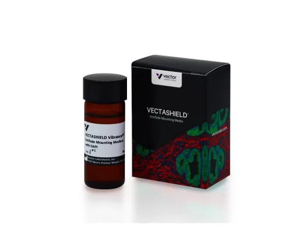 VECTASHIELD Vibrance® Antifade Mounting Medium With DAPI | Vector Labs