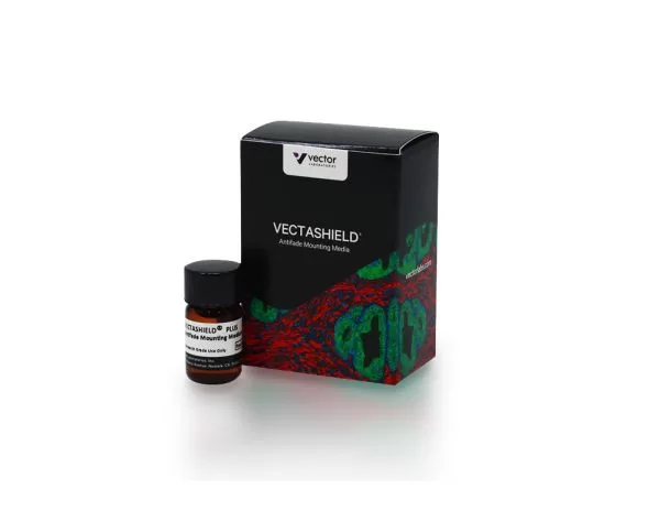 VECTASHIELD PLUS Antifade Mounting Medium | Vector Labs