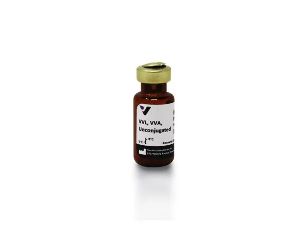 Vicia Villosa Lectin (VVL, VVA), Unconjugated | Vector Labs