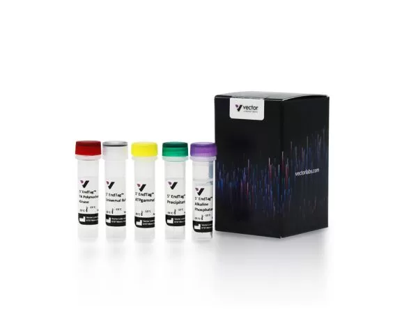 dna labelling methods