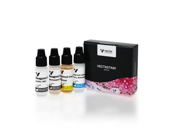 VECTASTAIN® ABC-HRP Kit, Peroxidase (Guinea Pig IgG ) | Vector Labs