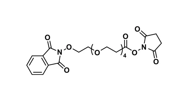 Phthalimidooxy-dPEG®₄-NHS Ester | Vector Labs