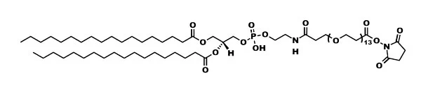 NHS-dPEG®₁₃-DSPE | Vector Labs