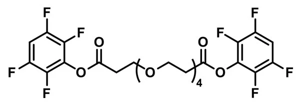Bis-dPEG®₄-TFP Ester | Vector Labs