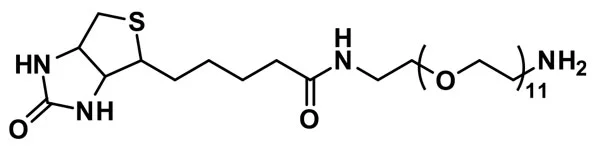 Biotin-dPEG®₁₁-NH₂ | Vector Labs