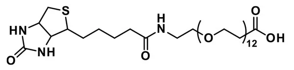 DPEG®₁₂-biotin Acid | Vector Labs