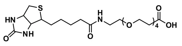 DPEG®₄-biotin Acid | Vector Labs