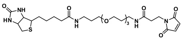 Biotin-dPEG®₃-MAL | Vector Labs