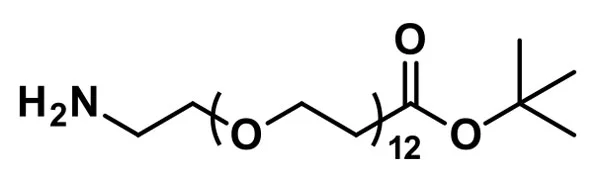 Amino-dPEG®₁₂-t-butyl Ester | Vector Labs