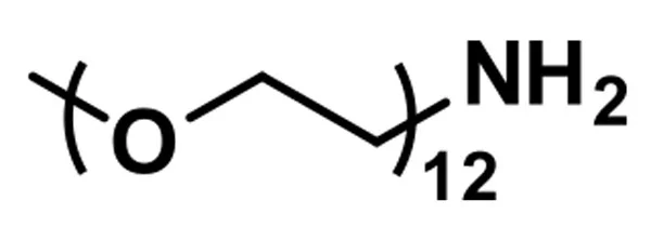 M-dPEG®₁₂-amine | Vector Labs