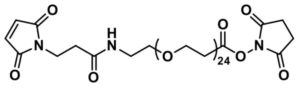 MAL-dPEG®₂₄-NHS Ester | Vector Labs