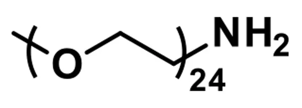 M-dPEG®₂₄-amine | Vector Labs
