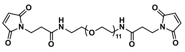 Bis-MAL-dPEG®₁₁ | Vector Labs