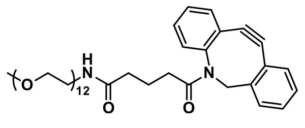 M-dPEG®₁₂-DBCO | Vector Labs