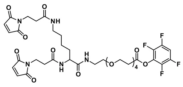 Bis-MAL-Lysine-dPEG®₄-TFP Ester | Vector Labs