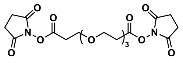 Bis-dPEG®₃-NHS Ester | Vector Labs