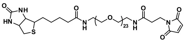 Biotin-dPEG®₂₃-MAL | Vector Labs
