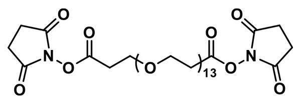 Bis-dPEG®₁₃-NHS Ester | Vector Labs
