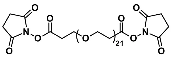 Bis-dPEG®₂₁-NHS Ester | Vector Labs
