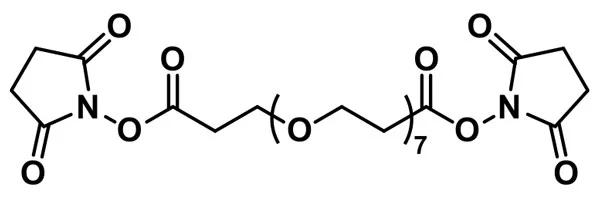 Bis-dPEG®₇-NHS Ester | Vector Labs