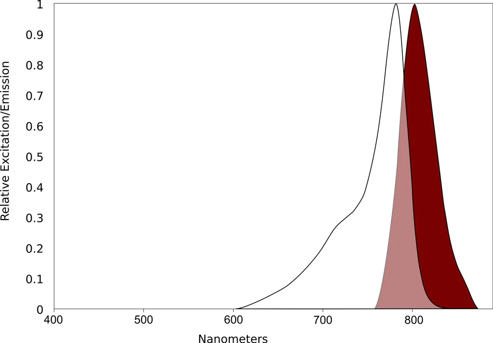 AQuora® 800-NHS Ester | Vector Labs