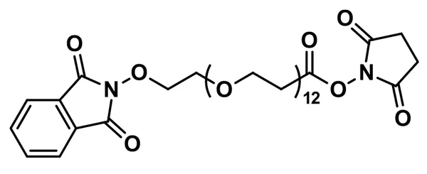 Phthalimidooxy-dPEG®₁₂-NHS Ester | Vector Labs