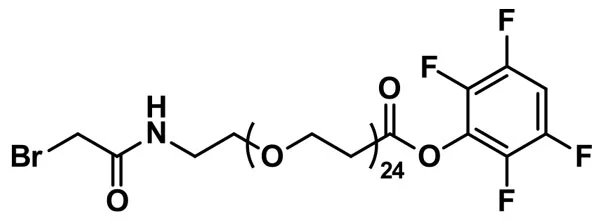 Bromoacetamido-dPEG®₂₄-TFP Ester | Vector Labs