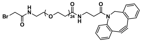 Bromoacetamido-dPEG®₂₄-amido-DBCO | Vector Labs