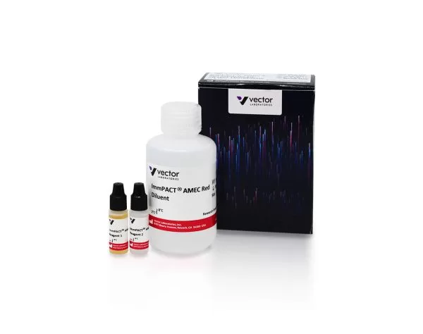 ImmPACT® AMEC Red Substrate, Peroxidase (HRP) | Vector Labs