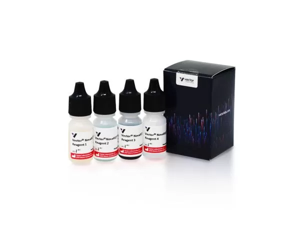 Vector NovaRED Substrate Kit, Peroxidase (HRP) | Vector Labs