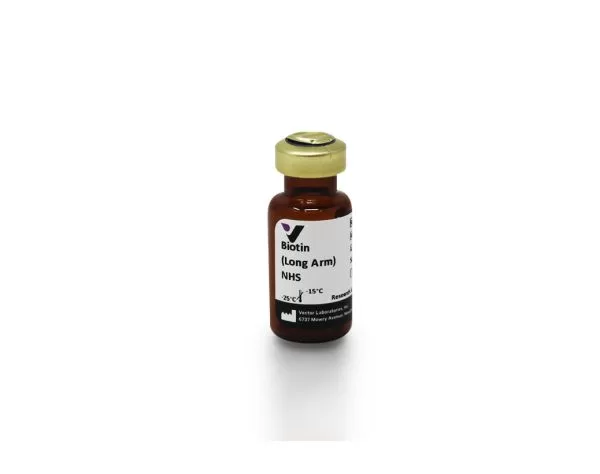 Biotin (Long Arm) NHS | Vector Labs